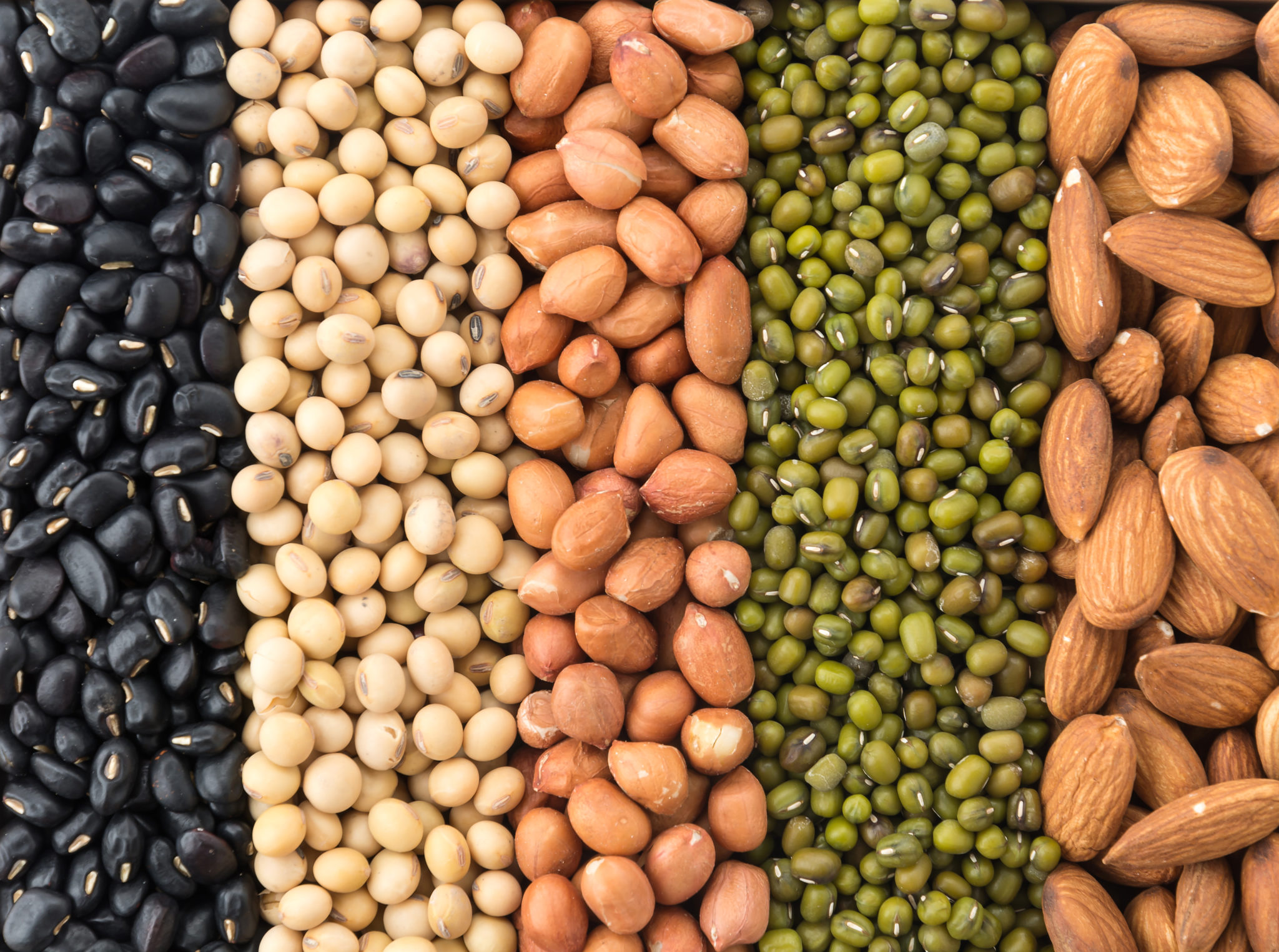 Seleção das sementes: sua escolha faz a diferença na lavoura